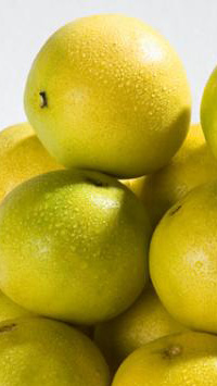 PR Frutas