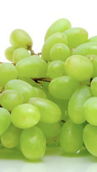 PR Frutas